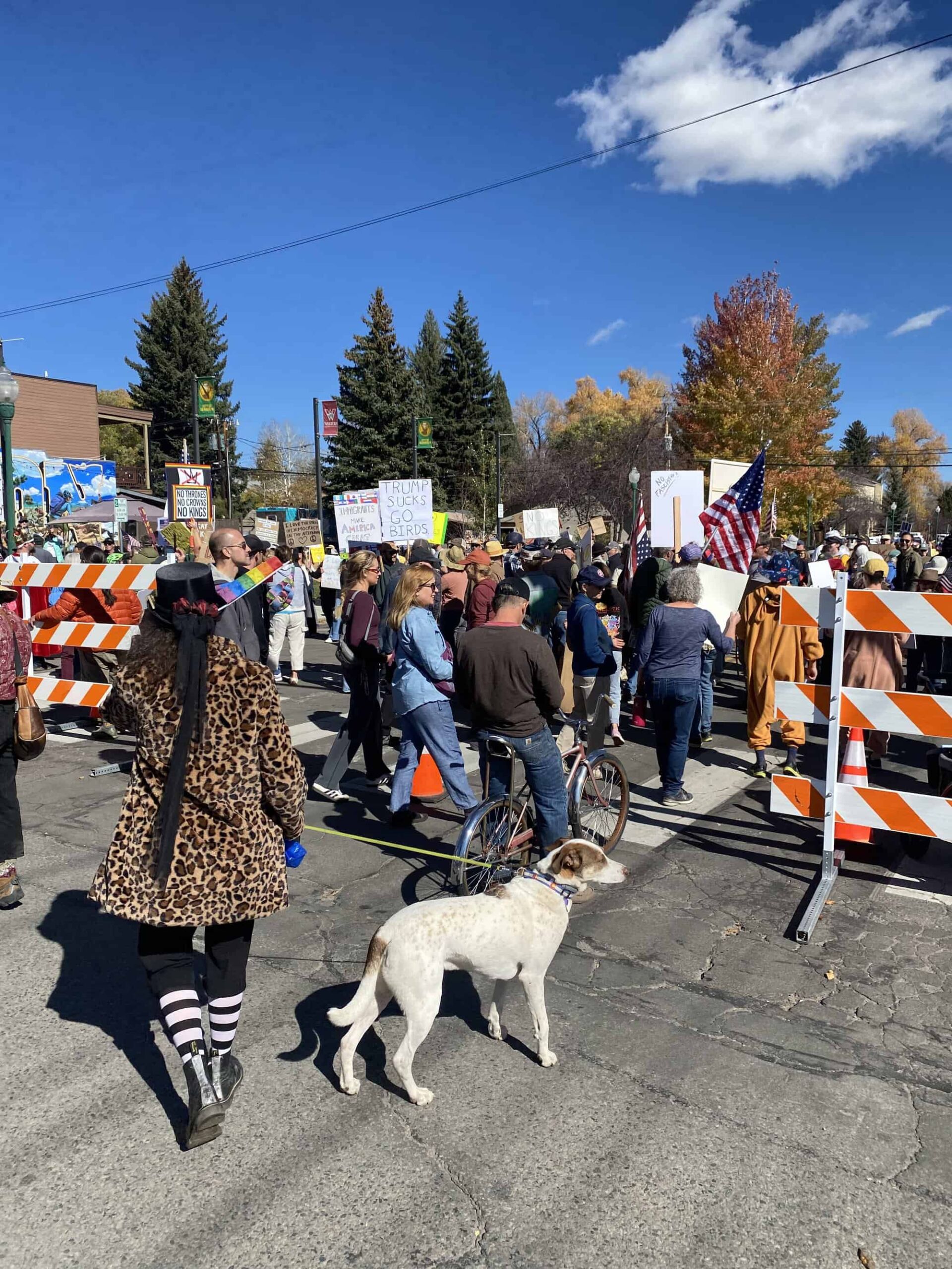 No Kings 2 in Gunnison Colorado on October 18th 2025! – Gunnison County ...